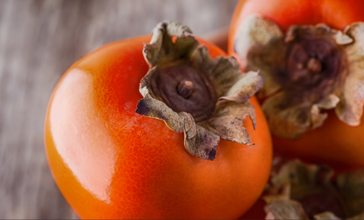 What’s our newest makes? – Images In Bloom Studio